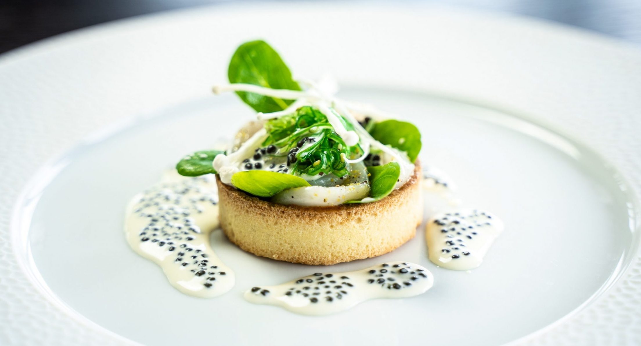 Mini Trendy Tartlet with Marinated Scallops, Cream of Cauliflower and ...