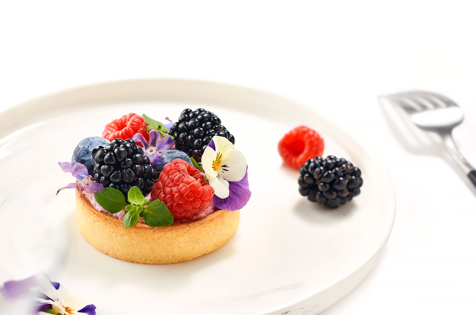 Trendy Tartlet with Forest Fruits - Pidy Global