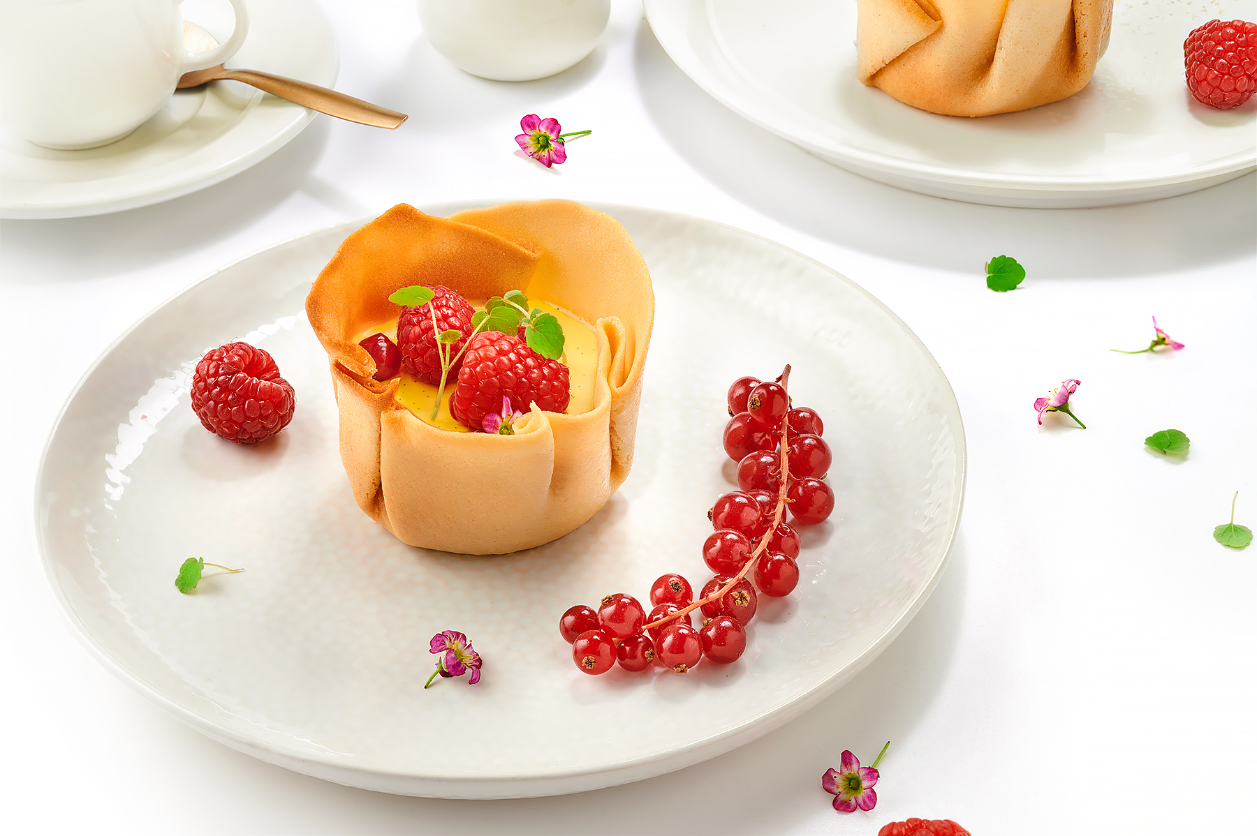 Tulip with Fresh Pastry Cream and Red Fruit - Pidy Global